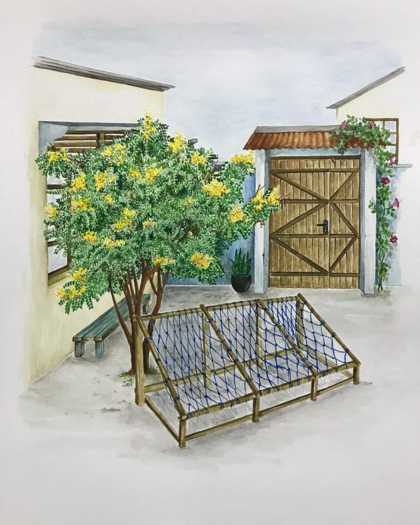 Maldivian Urban Art: Exclusive Interview with the talented Artist Nifa