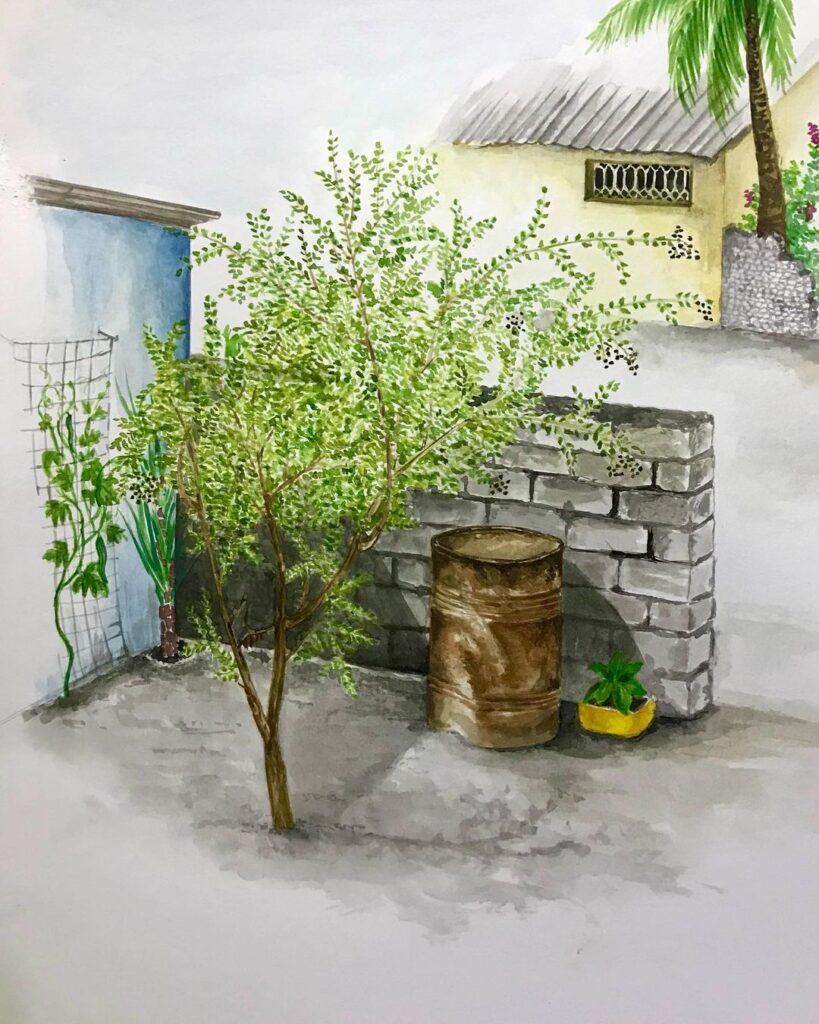 Maldivian Urban Art: Exclusive Interview with the talented Artist Nifa